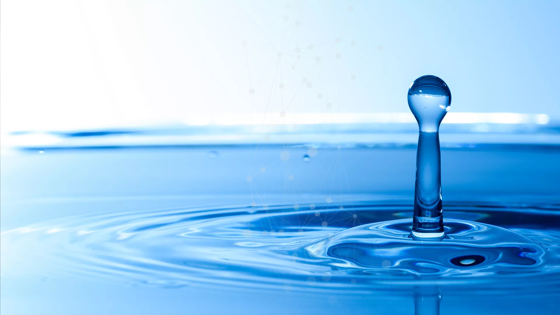 Wavecom | Connecting every... things